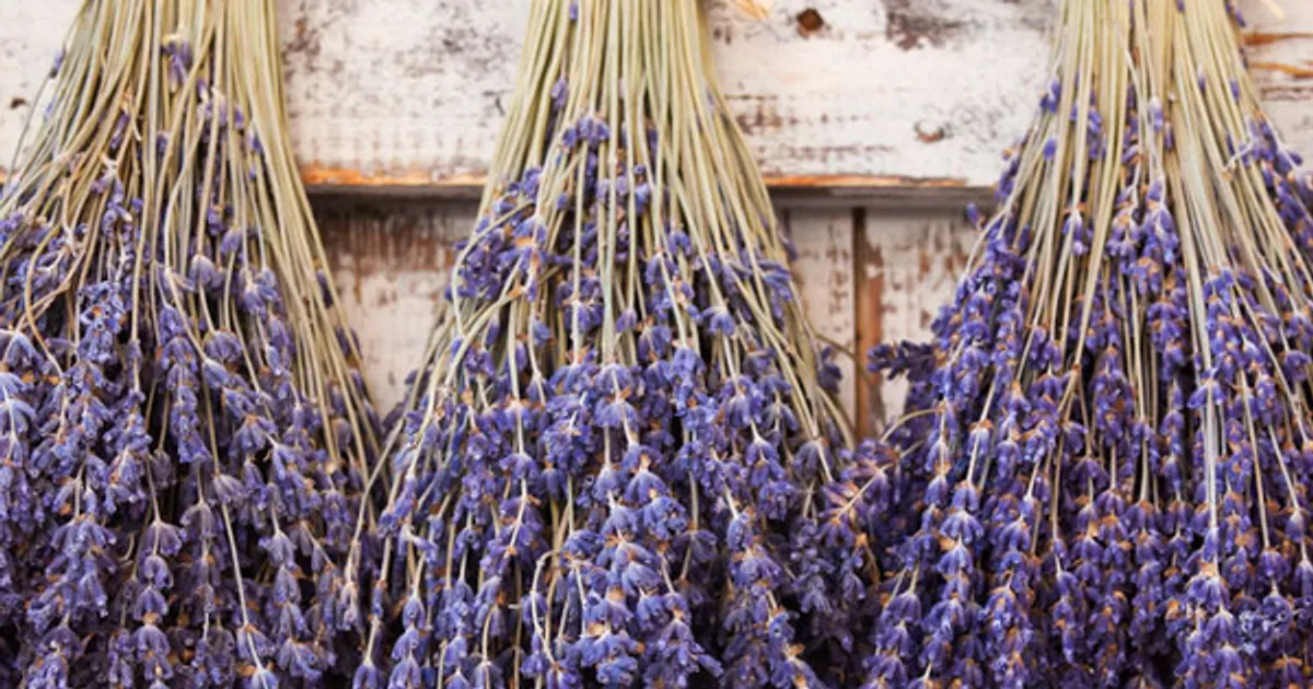 Lavender rice sachet crafting | About | University of Stirling