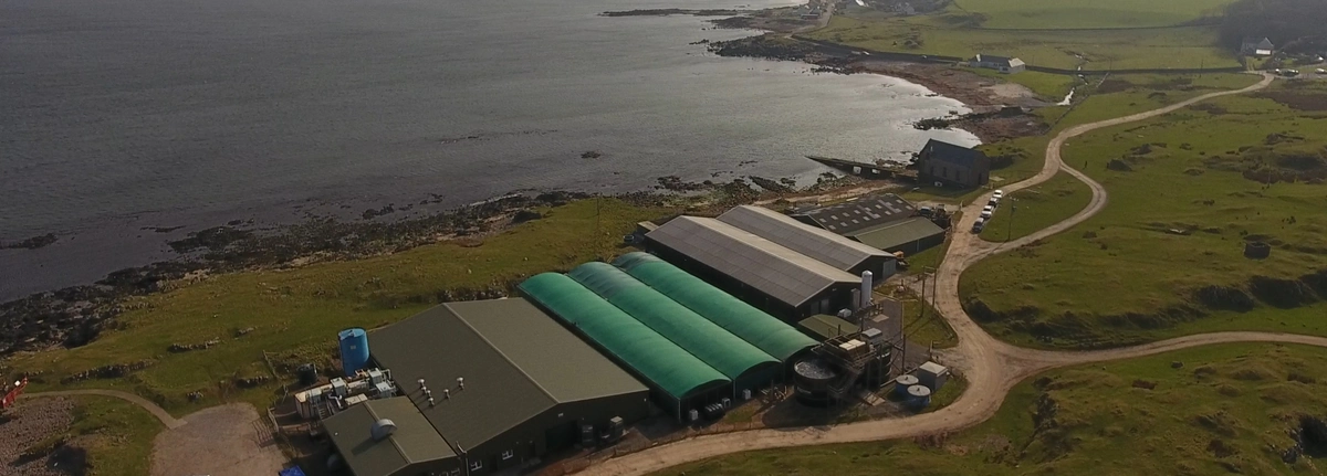 Stirling expert to lead trials of salmon vaccine that could ...