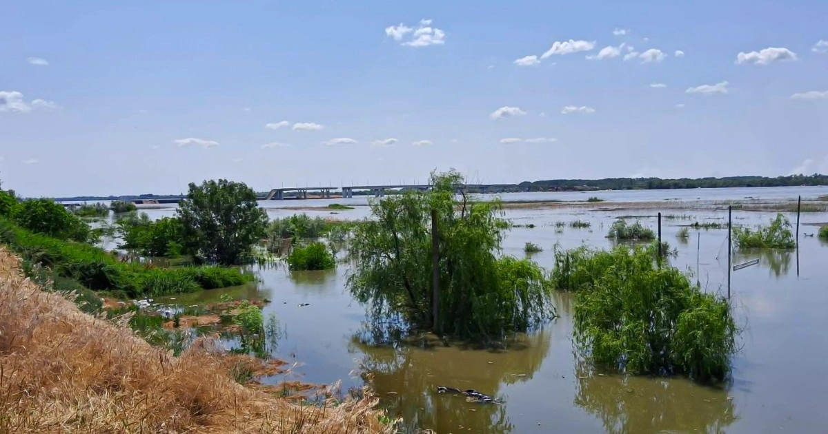 Environmental devastation in the Black Sea after destruction of Ukraine ...