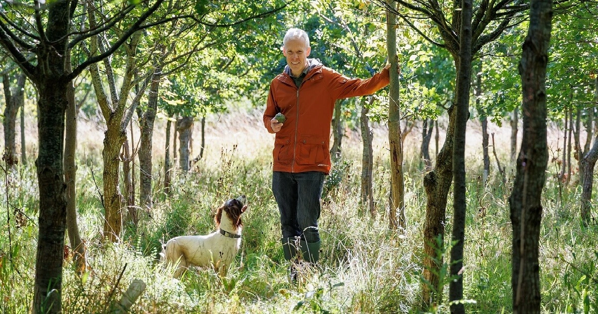 Dogs prove key to truffle harvest success, Stirling study finds | About ...
